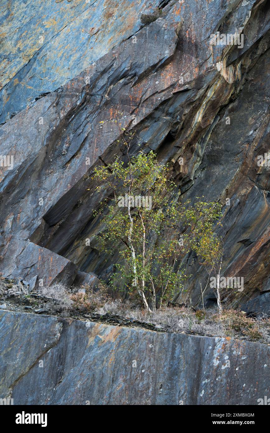 Ballachulish Slate Quarry, Glencoe, Scotland, UK Stock Photo - Alamy