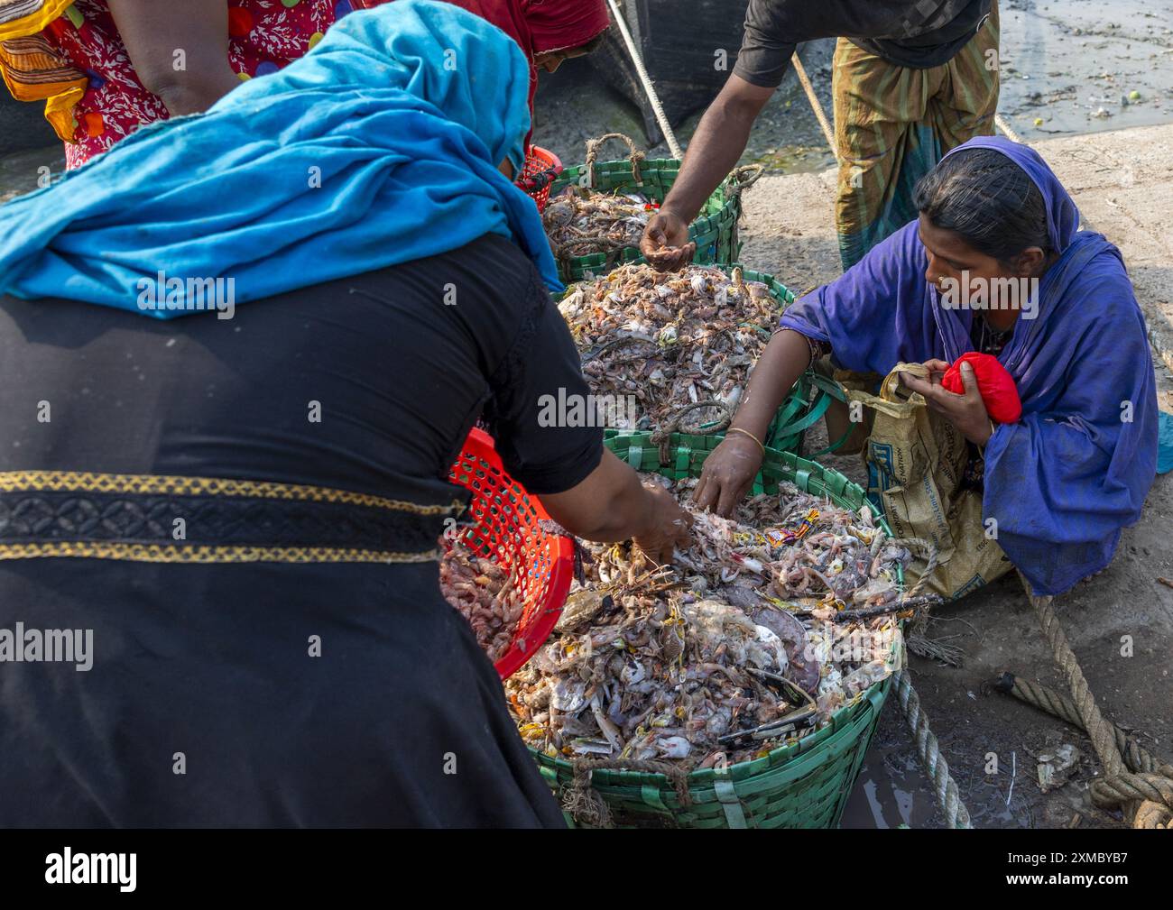 Poor people taking abandoned fishes in fish market, Chittagong Division ...