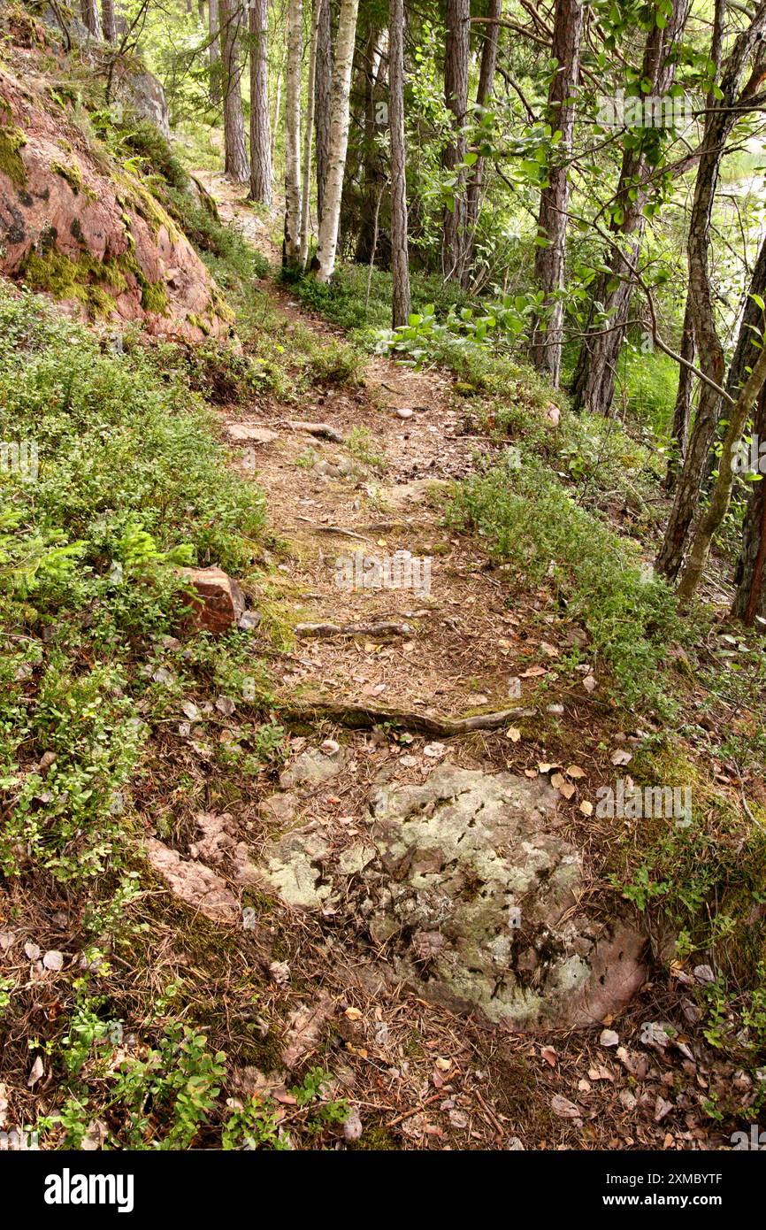 A path through the forest Stock Photo - Alamy
