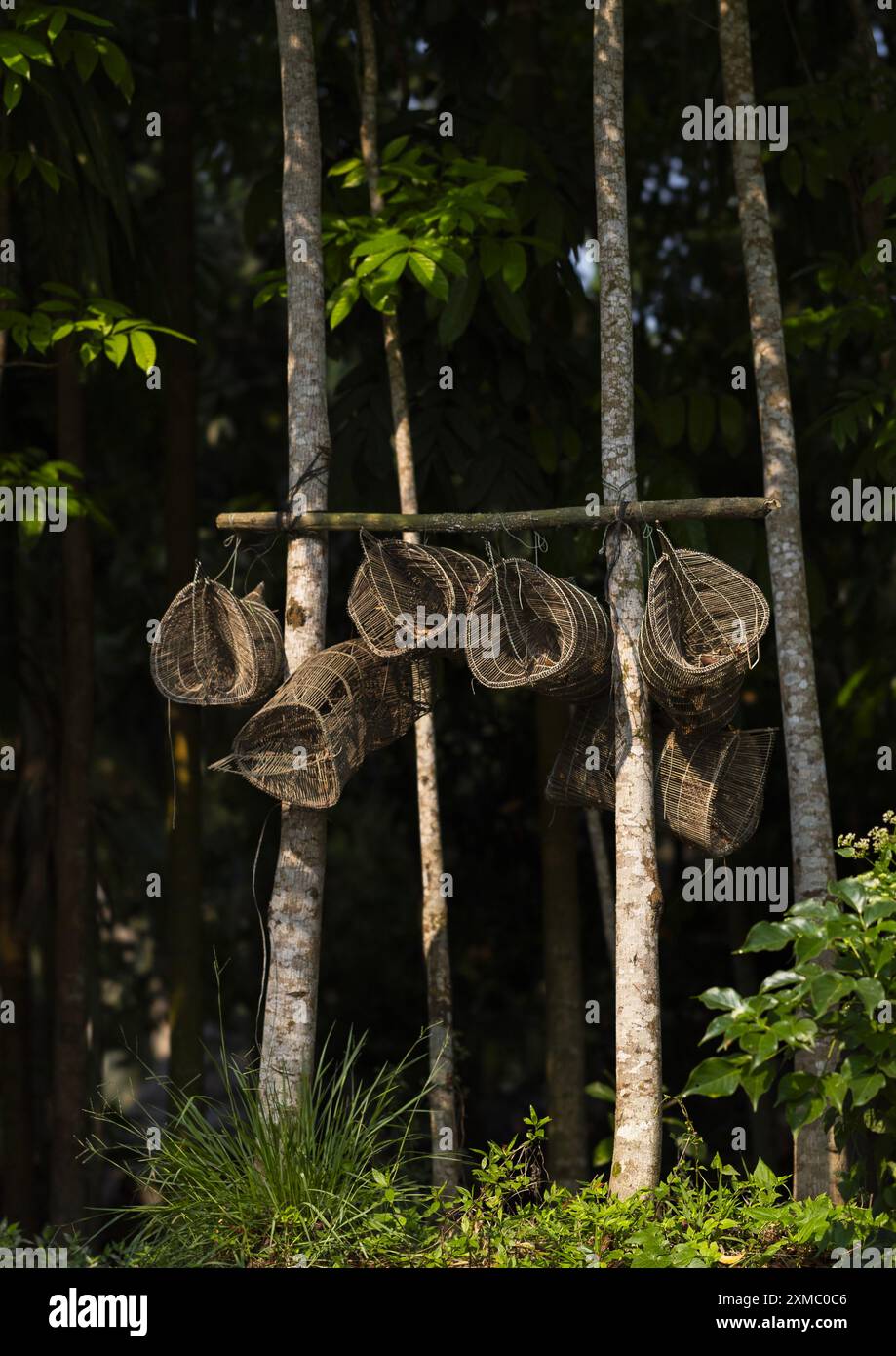 Traditional handmade woven bamboo fish traps, Barisal Division ...
