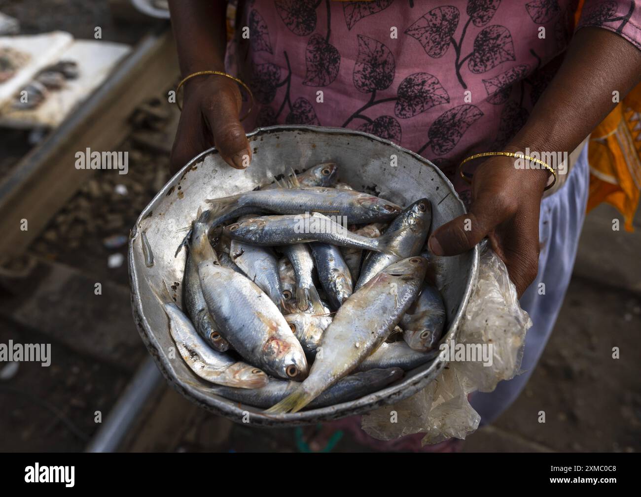 Bangladeshi woman selling fishes along the rail track in Kawran bazar ...