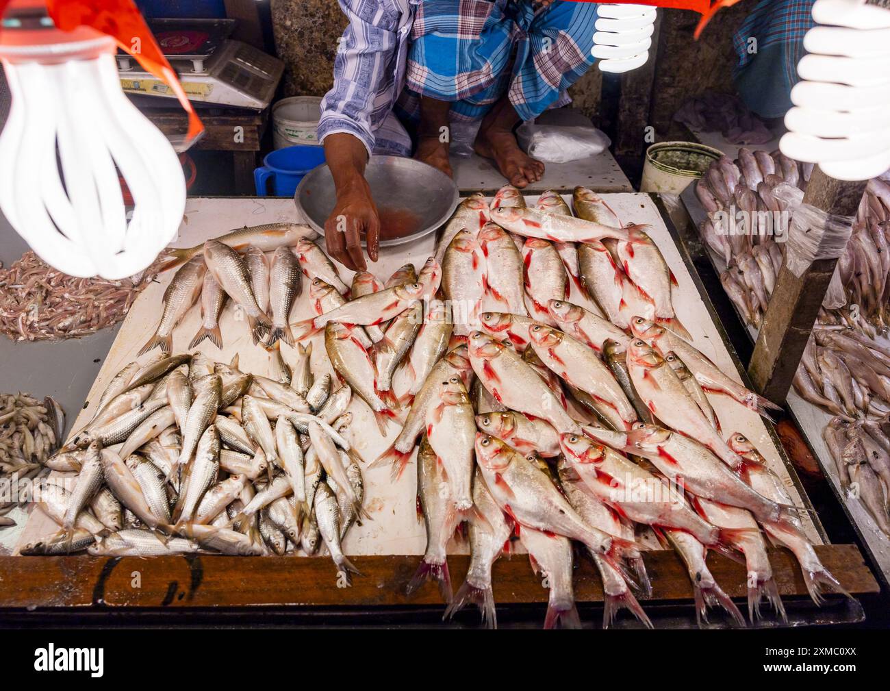 Fish market in dhaka bangladesh hi-res stock photography and images - Alamy