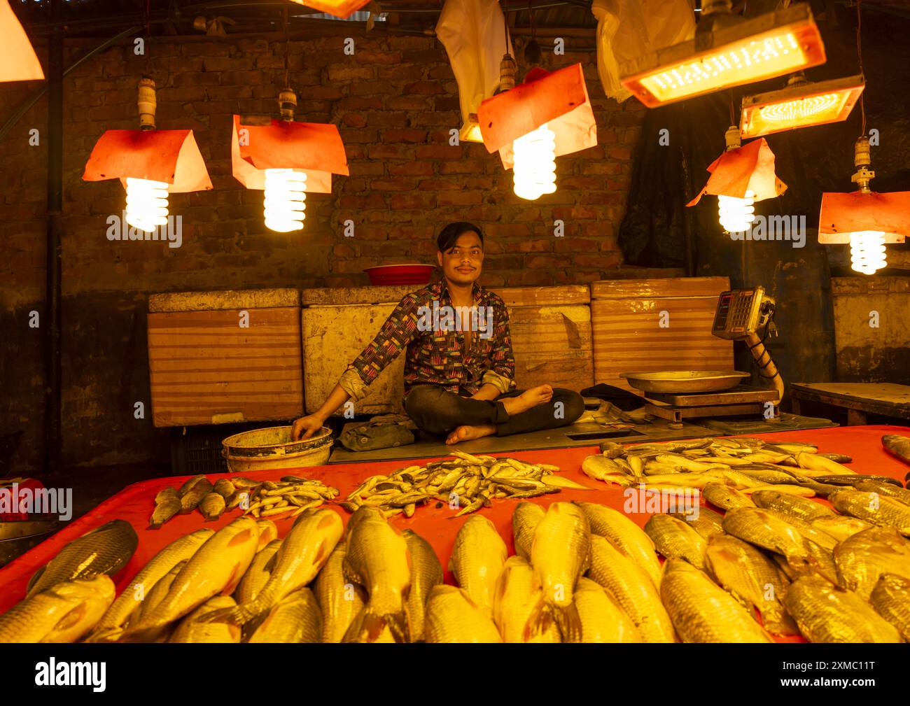 Lamps over fresh fishes in fish market, Dhaka Division, Dhaka, Bangladesh Stock Photo - Alamy