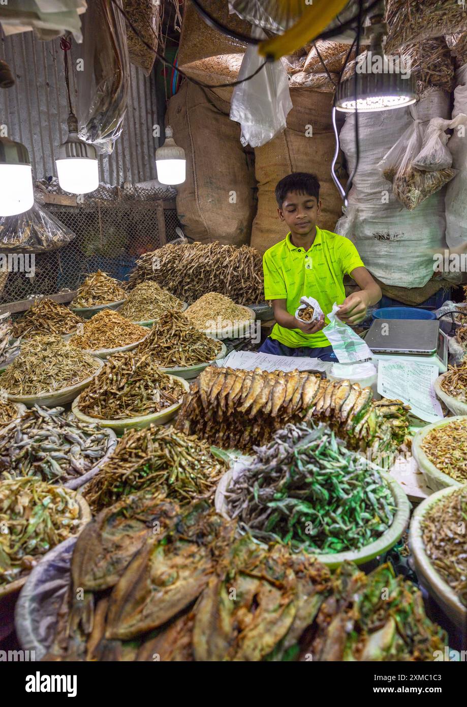 Bangladeshi boy selling dried fishes at market, Dhaka Division, Dhaka ...