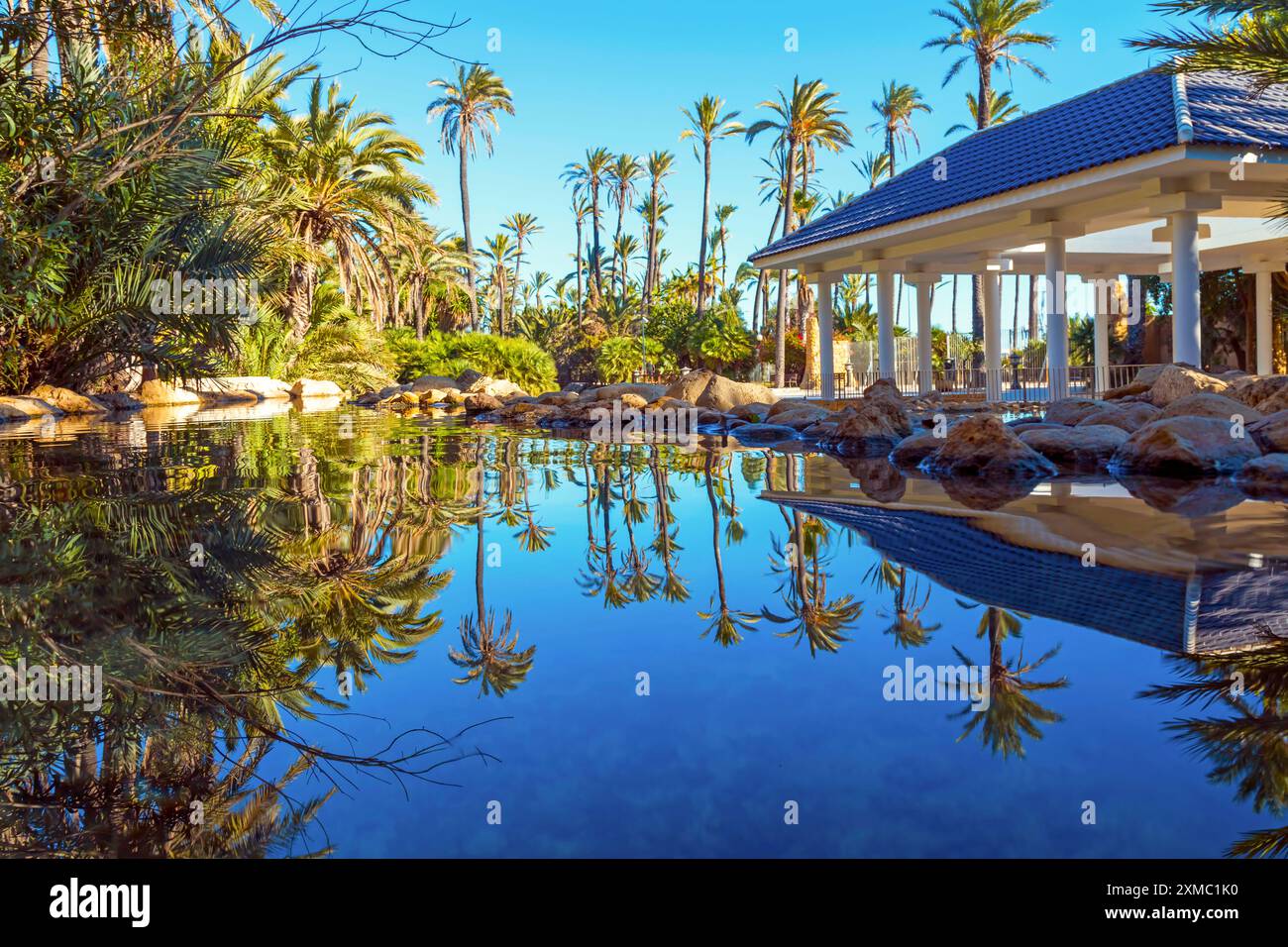 Parc El Palmeral, Alicante, Spain Stock Photo - Alamy