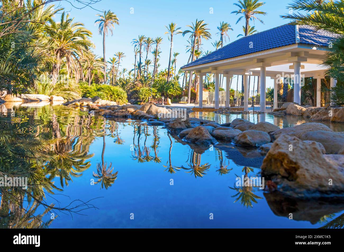 Parc El Palmeral, Alicante, Spain Stock Photo - Alamy