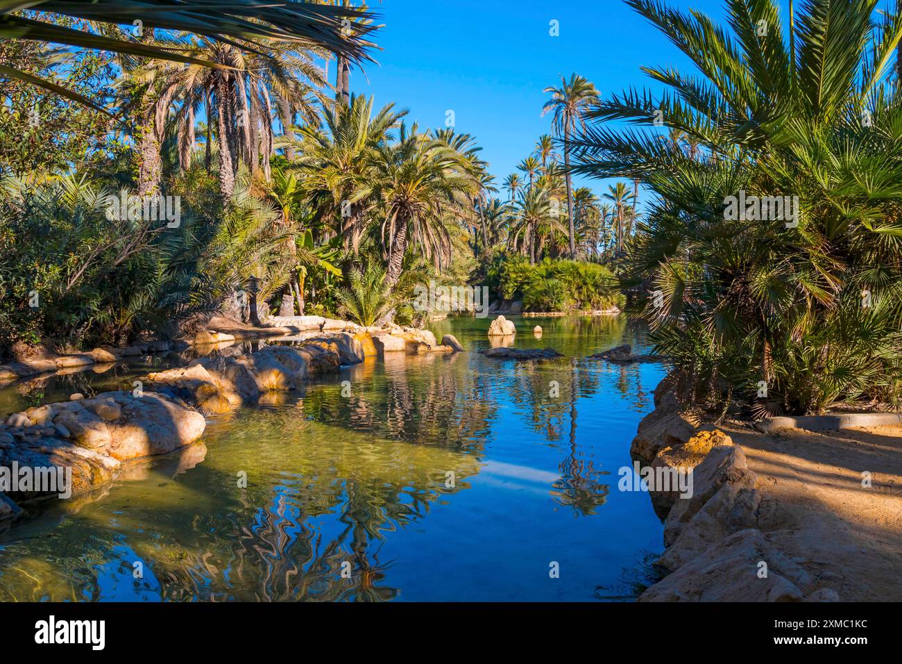 Parc El Palmeral, Alicante, Spain Stock Photo - Alamy