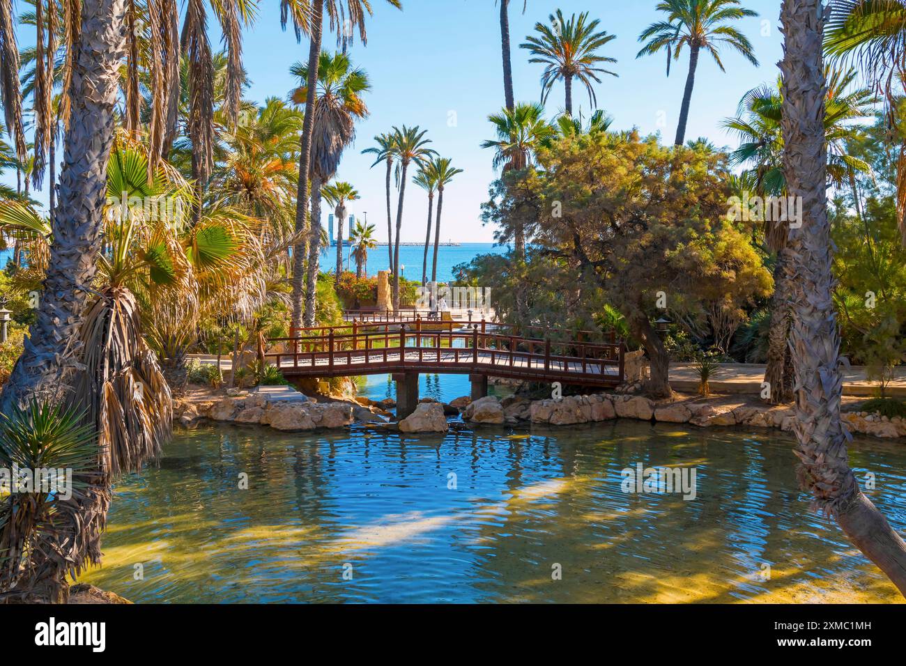 Parc El Palmeral, Alicante, Spain Stock Photo - Alamy