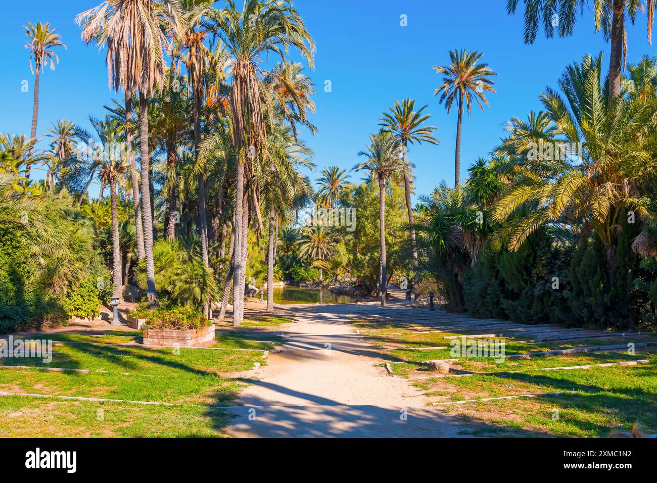 Parc El Palmeral, Alicante, Spain Stock Photo - Alamy