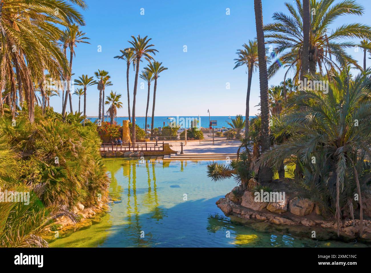 Parc El Palmeral, Alicante, Spain Stock Photo - Alamy