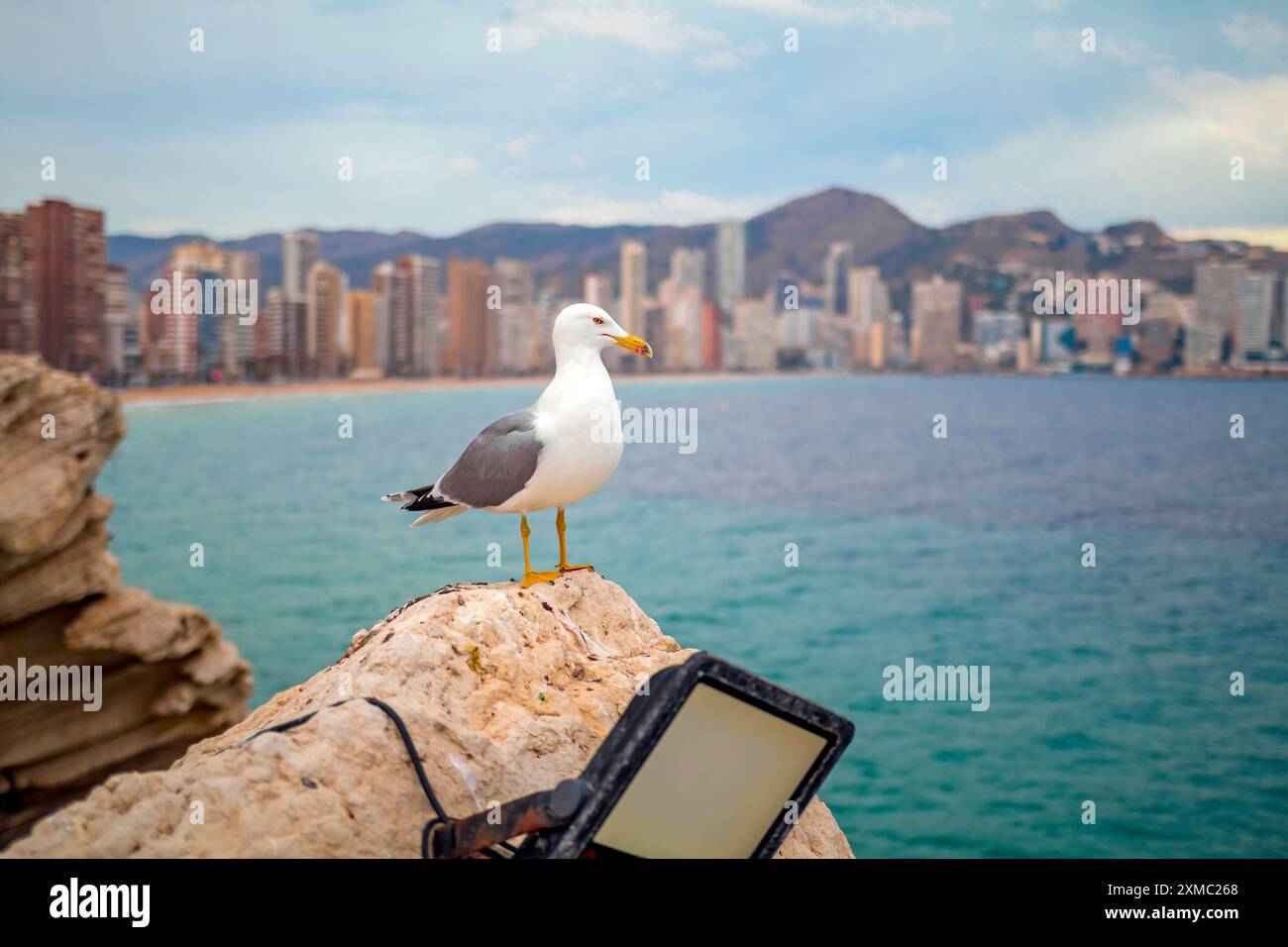 Sunny day in Benidorm resort. View from Balcon del Mediterraneo, to ...