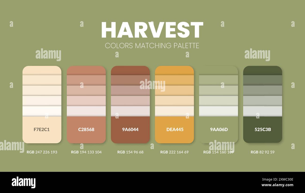 Color palette guide in Fresh colour theme collections. Color ...