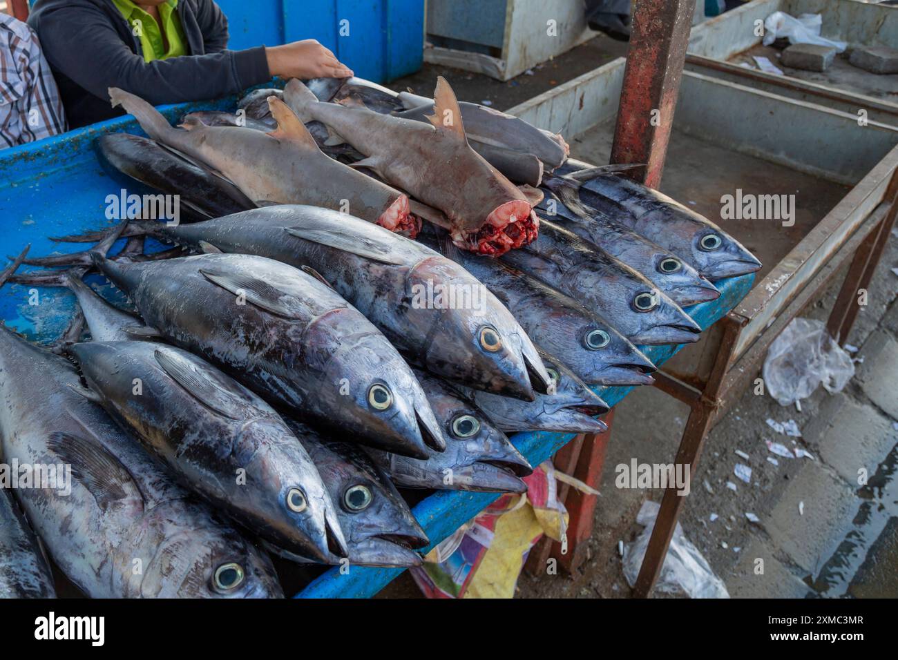 Bandar abbas hi-res stock photography and images - Alamy