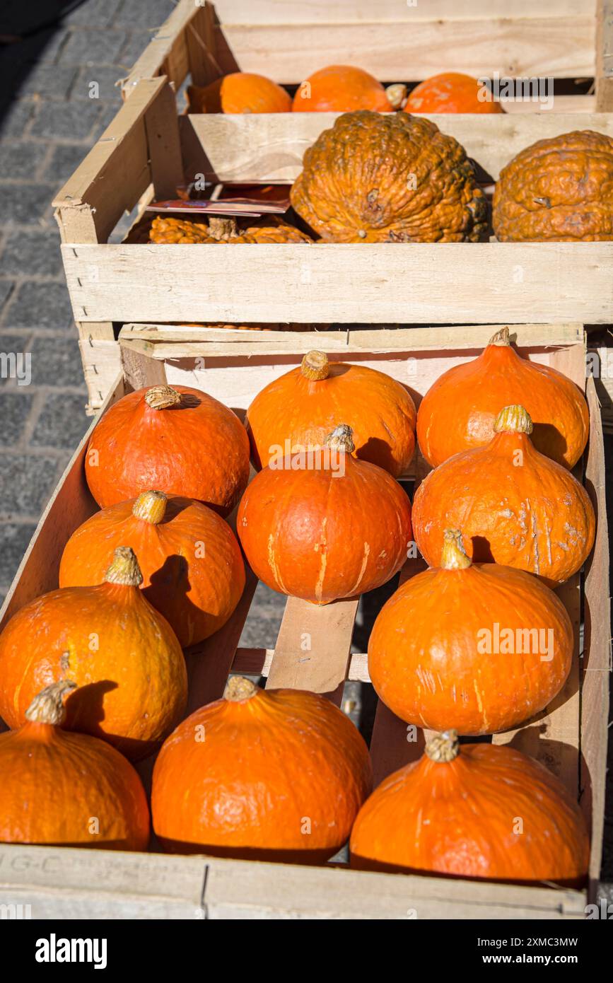 Pumpkins in wooden boxes on typical french farmers market Stock Photo ...