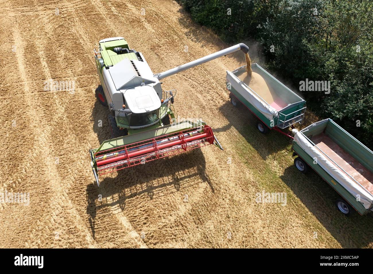 Ein Maehdrescher vom Typ CLAAS Lexion 640 bei der Arbeit, maeht ein ...