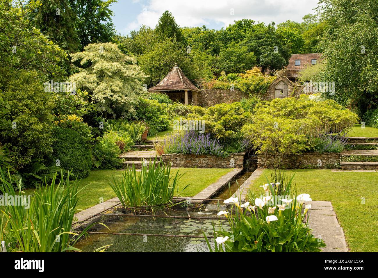 Burrow Farm Gardens, Axminster, Devon, England Stock Photo - Alamy