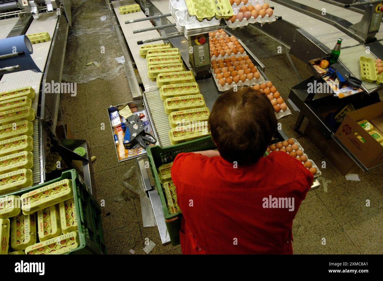 industrial processing of chicken eggs with machines in a factory ...