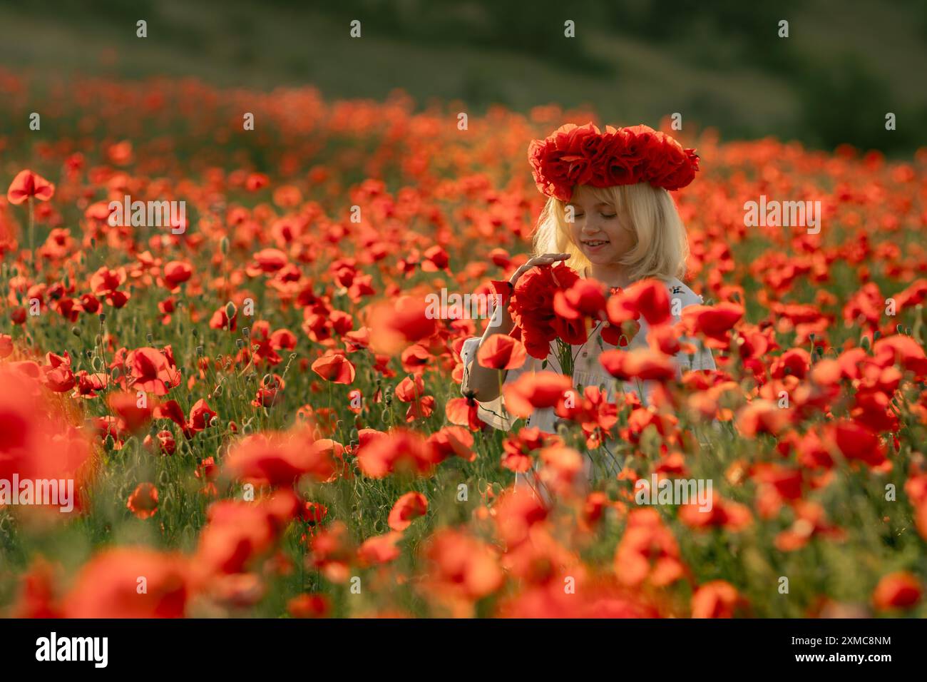 A young girl is standing in a field of red poppies. She is wearing a ...