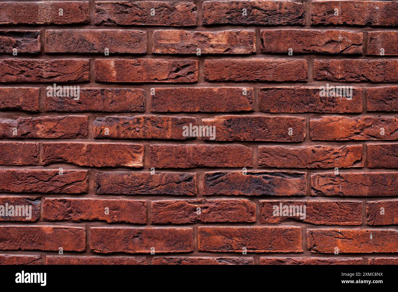 National Brick Day, National Couples Day, International Friendship Day ...