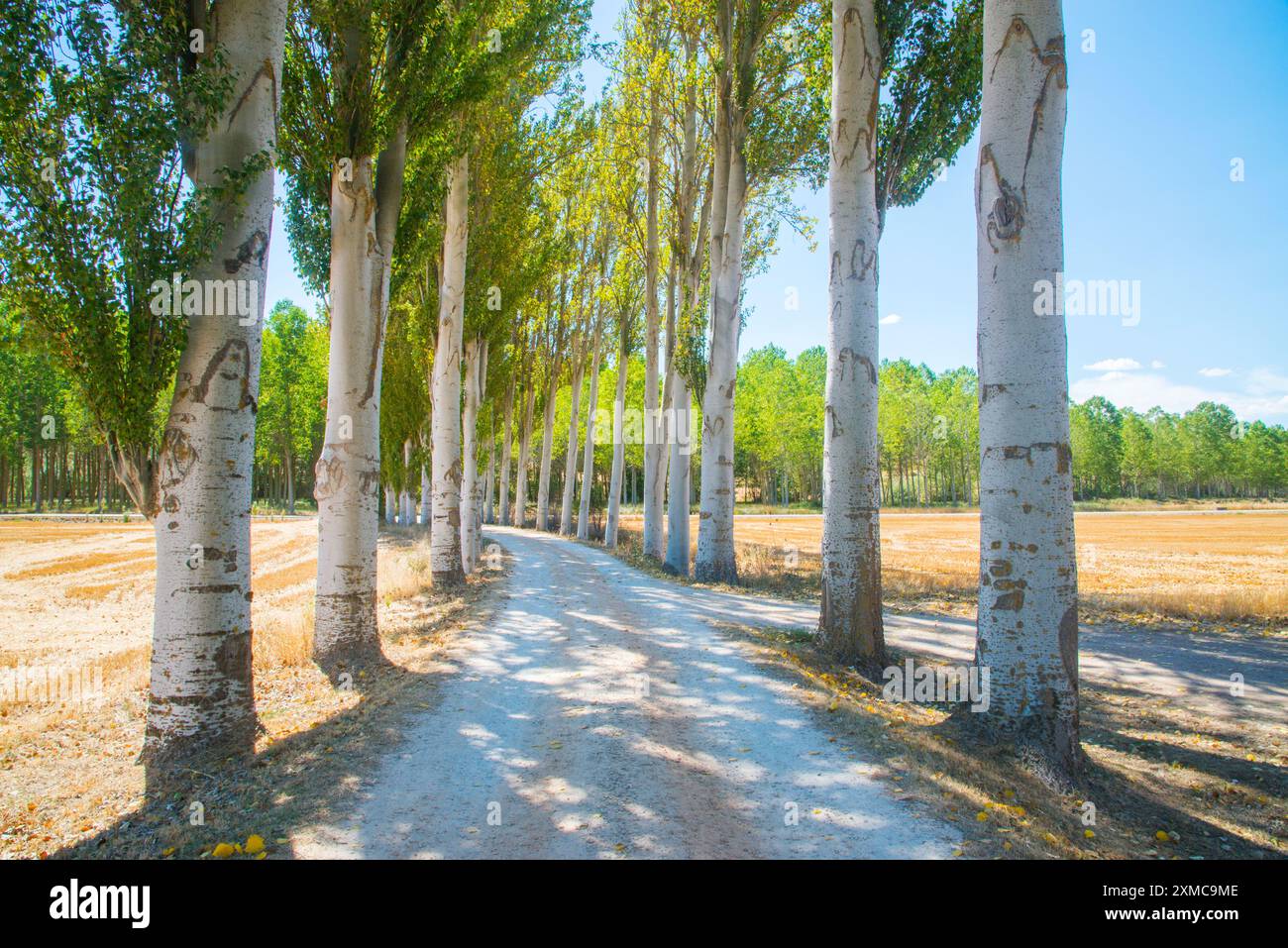 Metaphorical landscapes hi-res stock photography and images - Alamy