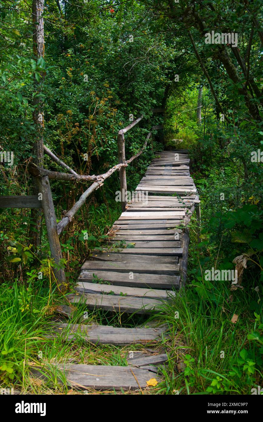 Abandoned footbridge hi-res stock photography and images - Alamy