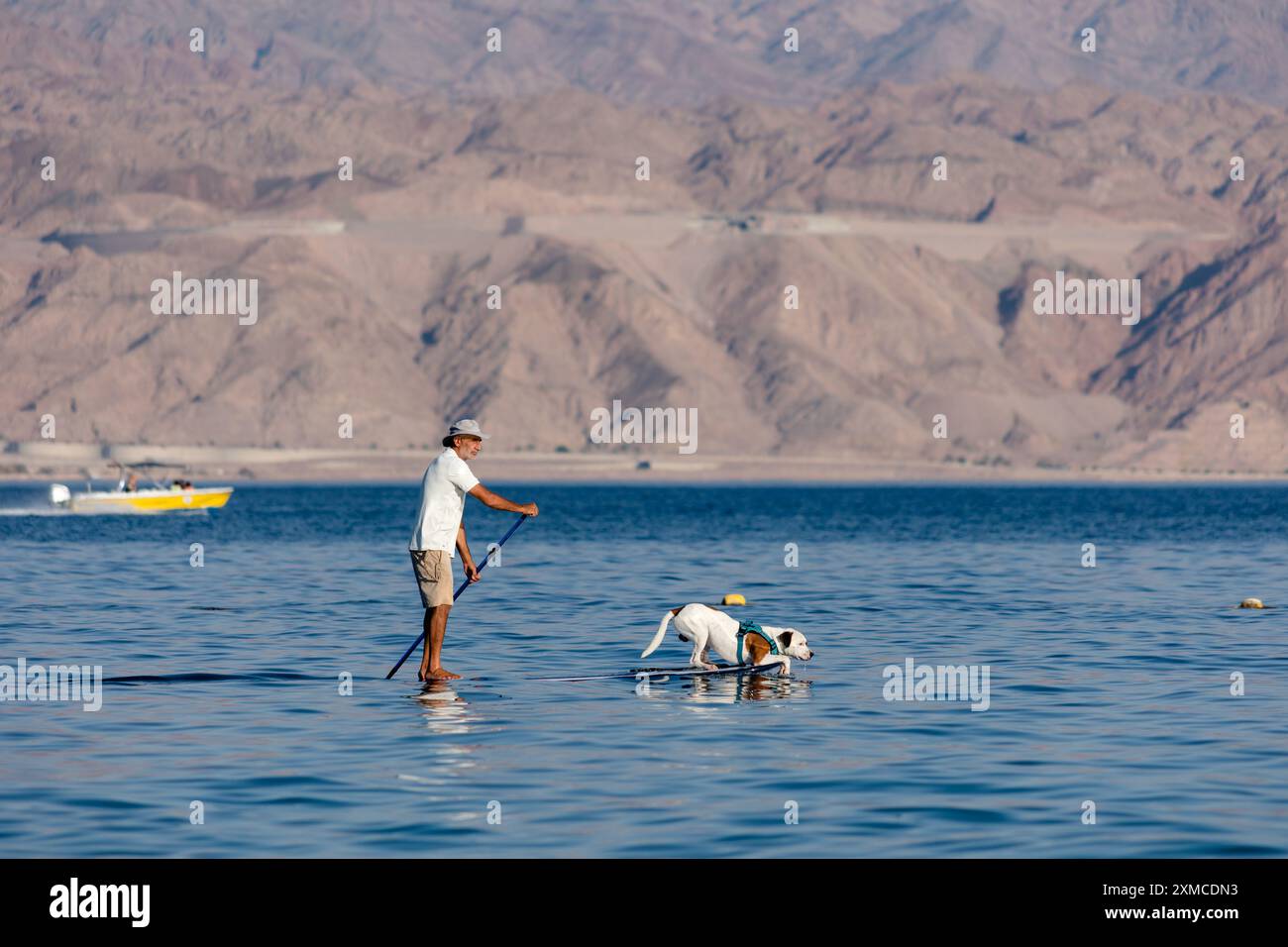 Senior man with a dog rides on a SUP board in open sea. Stunning ...