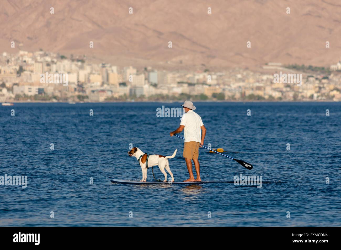 Senior man with a dog rides on a SUP board in open sea. Stunning ...