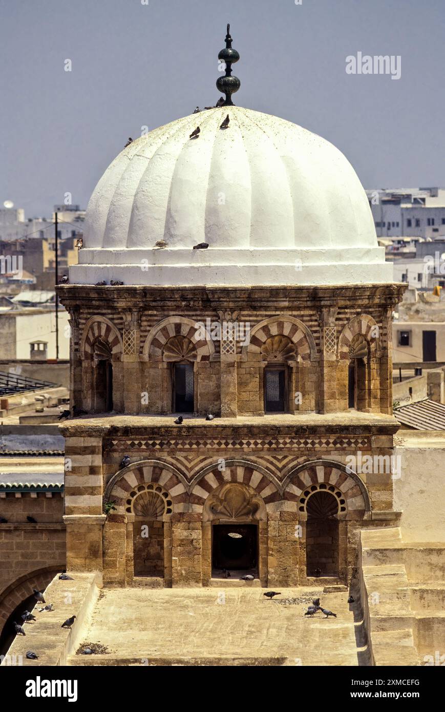 Tunis, Tunisia. Zeitouna Mosque Cupola Stock Photo - Alamy