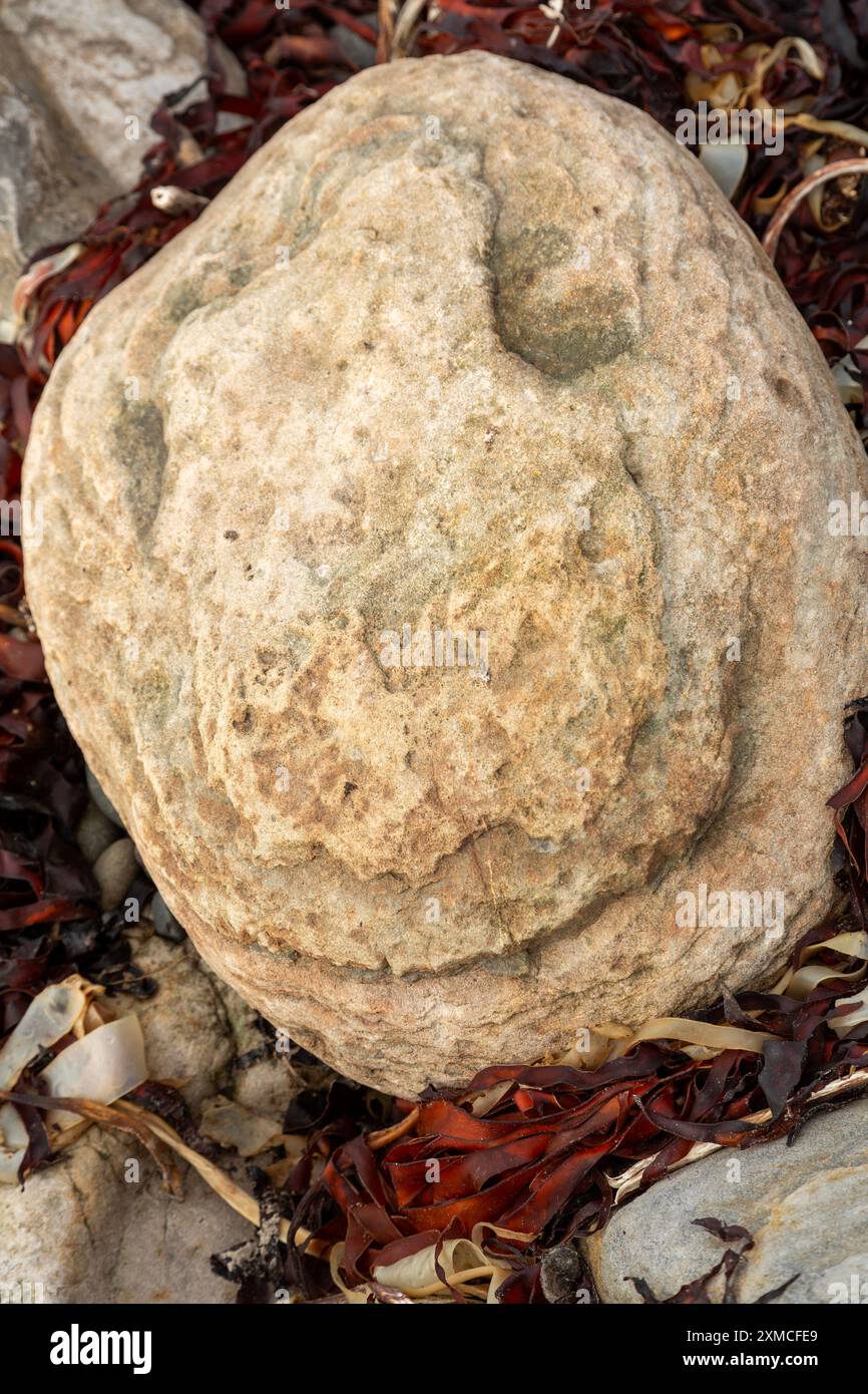 Pareidolia Smiling face in a pebble Stock Photo - Alamy
