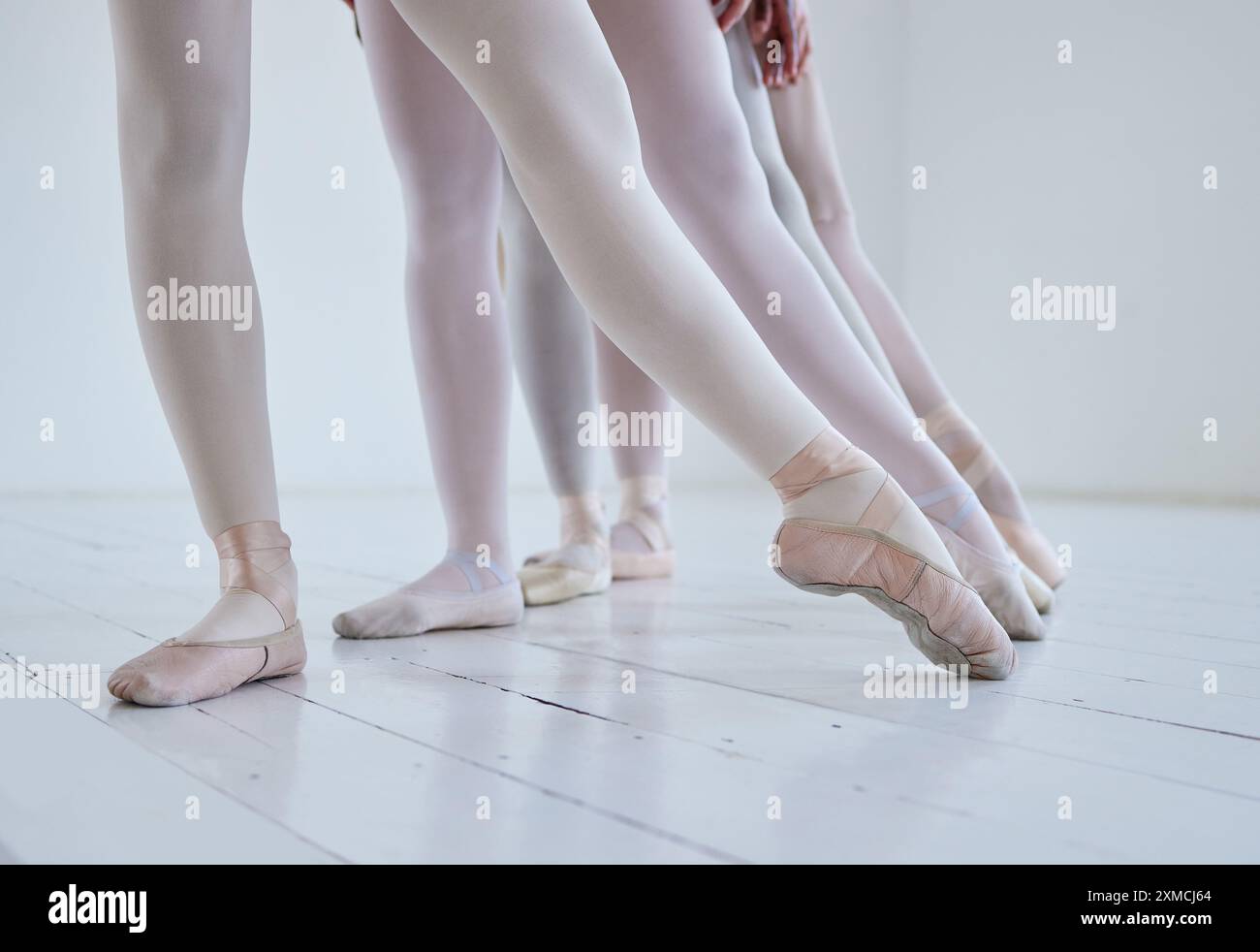 Ballerina, dance and group of legs in studio for performance art, elegance and practice of ...