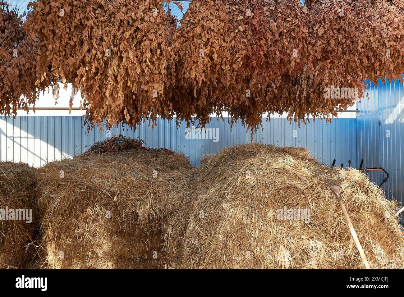 A stack of hay is positioned next to a wooden fence painted in blue ...