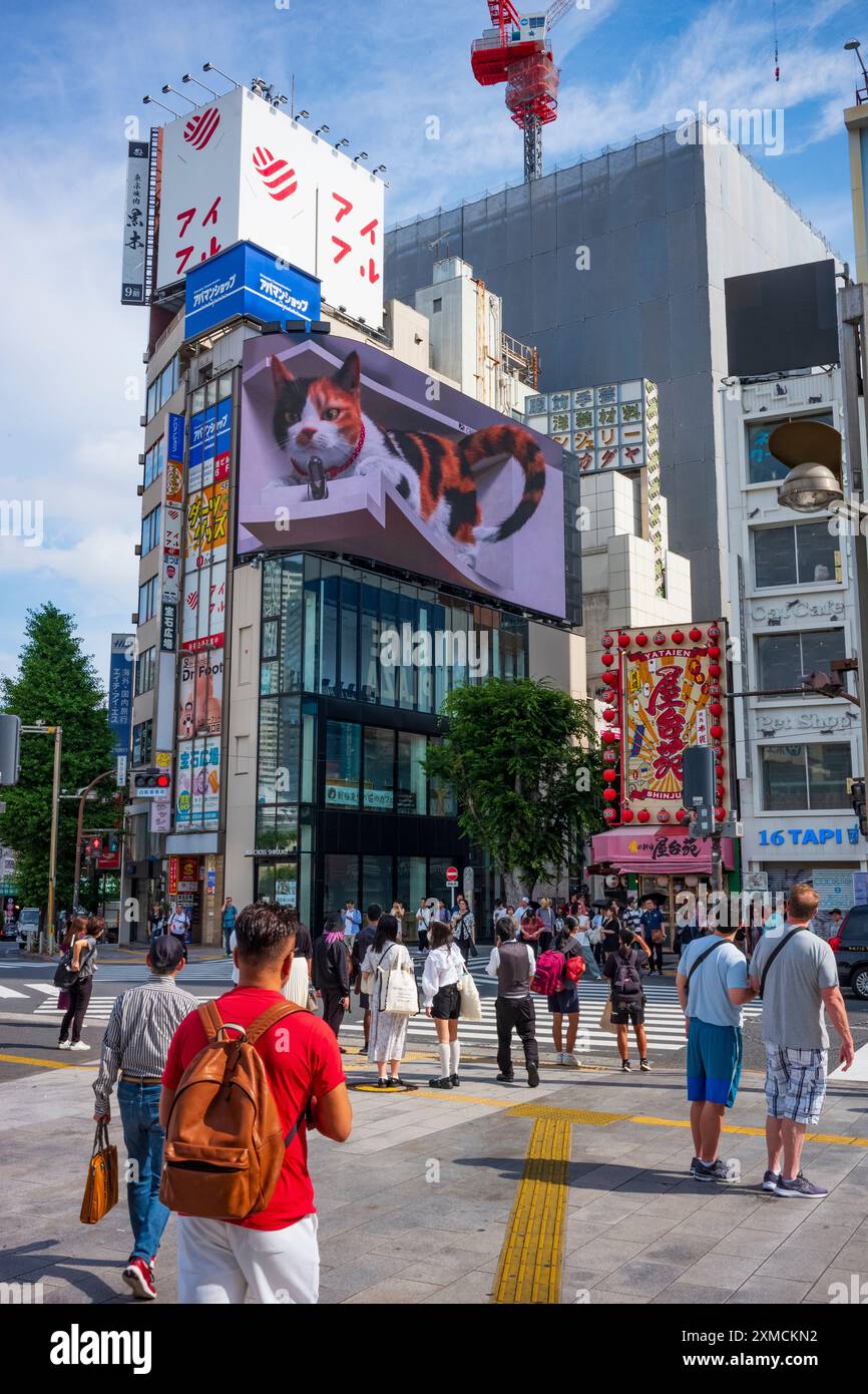 Tokyo, Japan, Jun 14, 2024: A gigantic 3D cat comes to life on a 1,664 ...