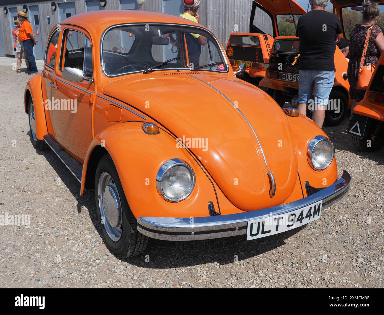 Bug car hi-res stock photography and images - Alamy