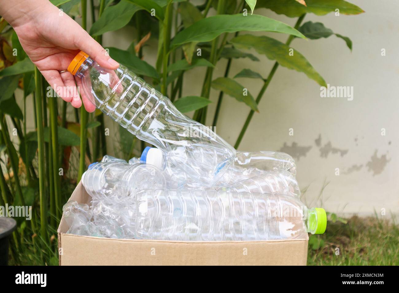 Hand hold and put plastic bottles in to brown recycle garbage box Stock ...