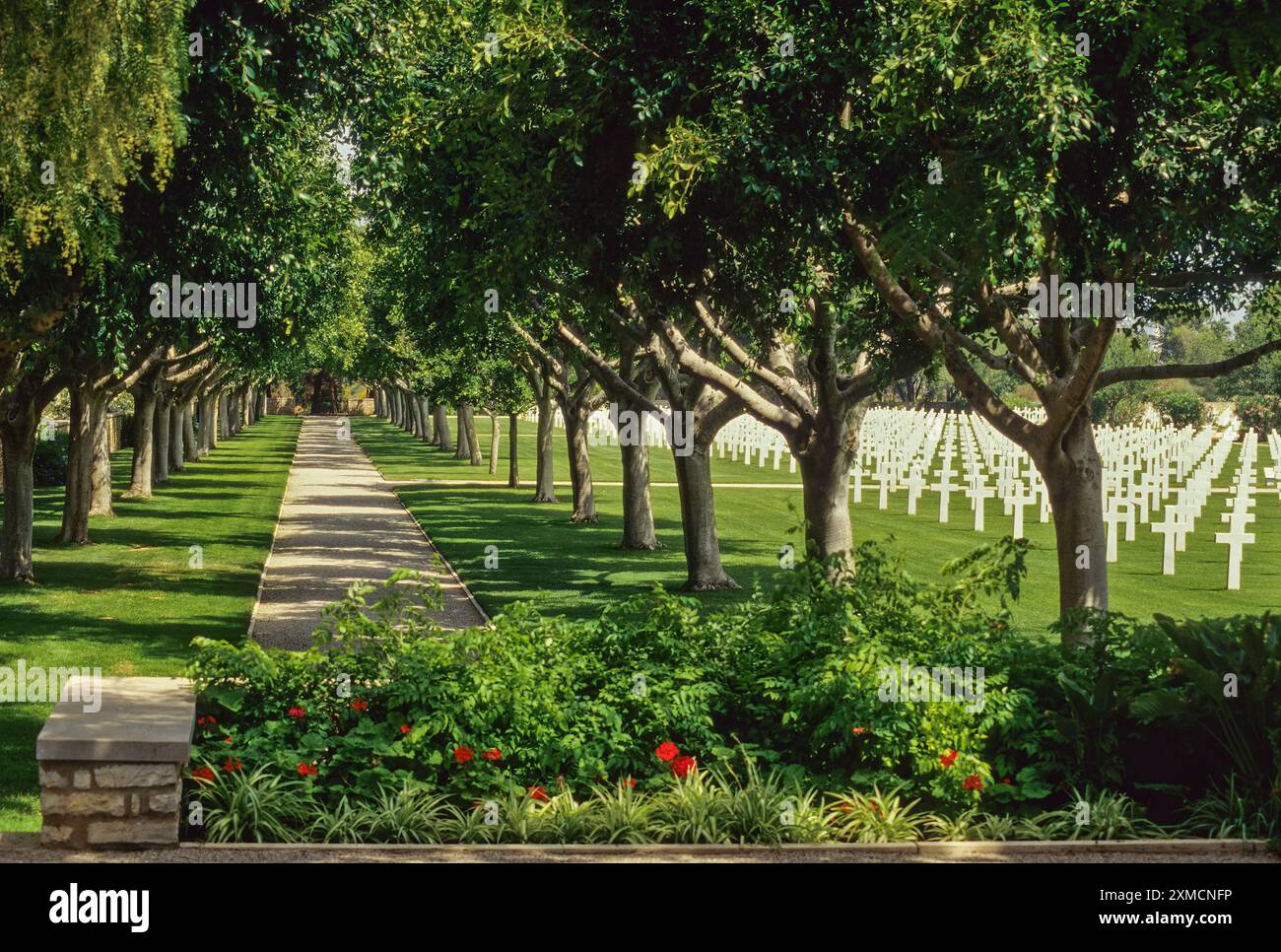 Carthage, Tunisia. American World War II Cemetery Stock Photo - Alamy