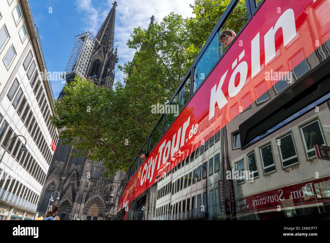 Sightseeing bus, city tour, city tour, city tour, city tour, bus ...