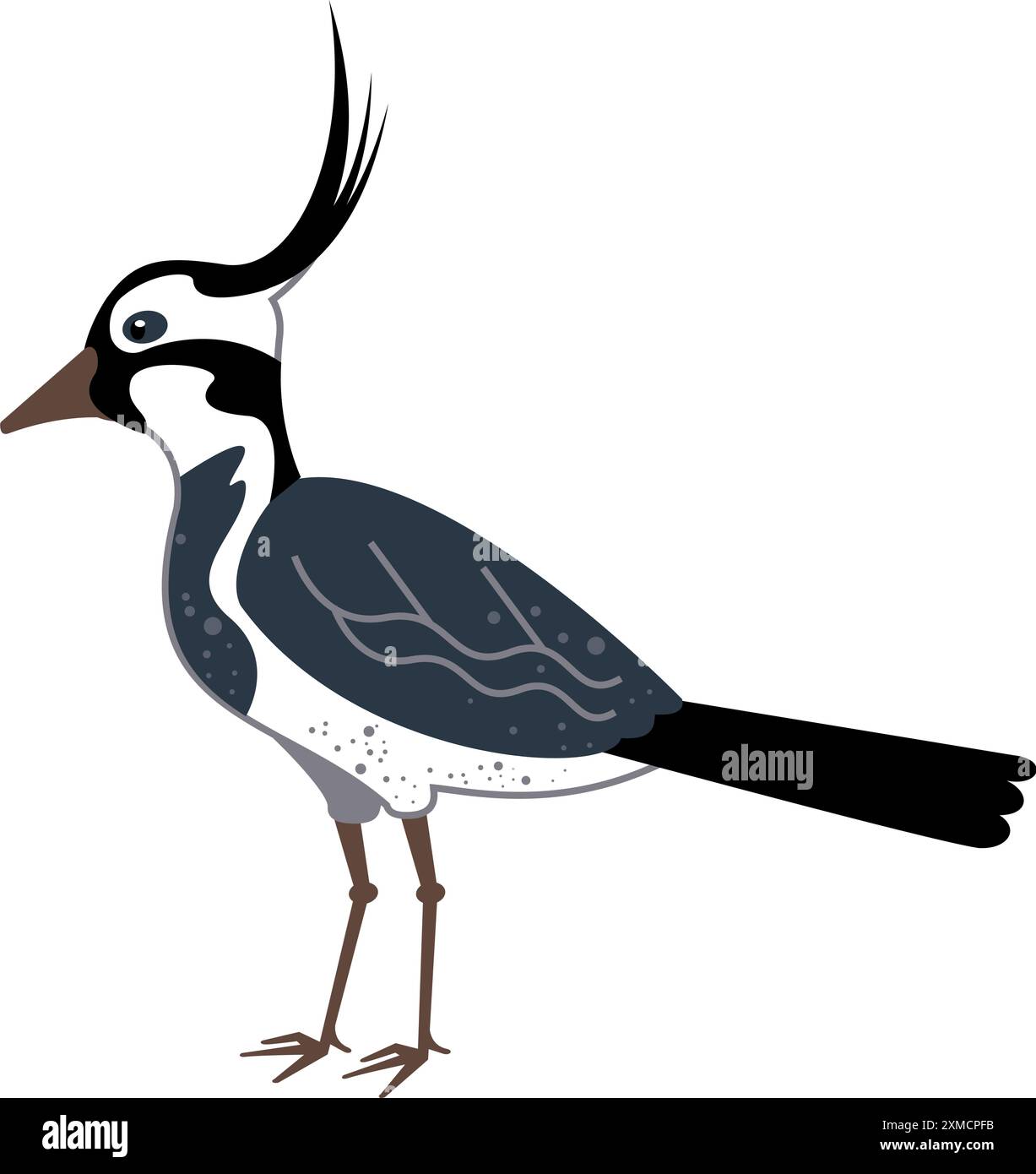 Lapwing illustration Stock Vector Images - Alamy