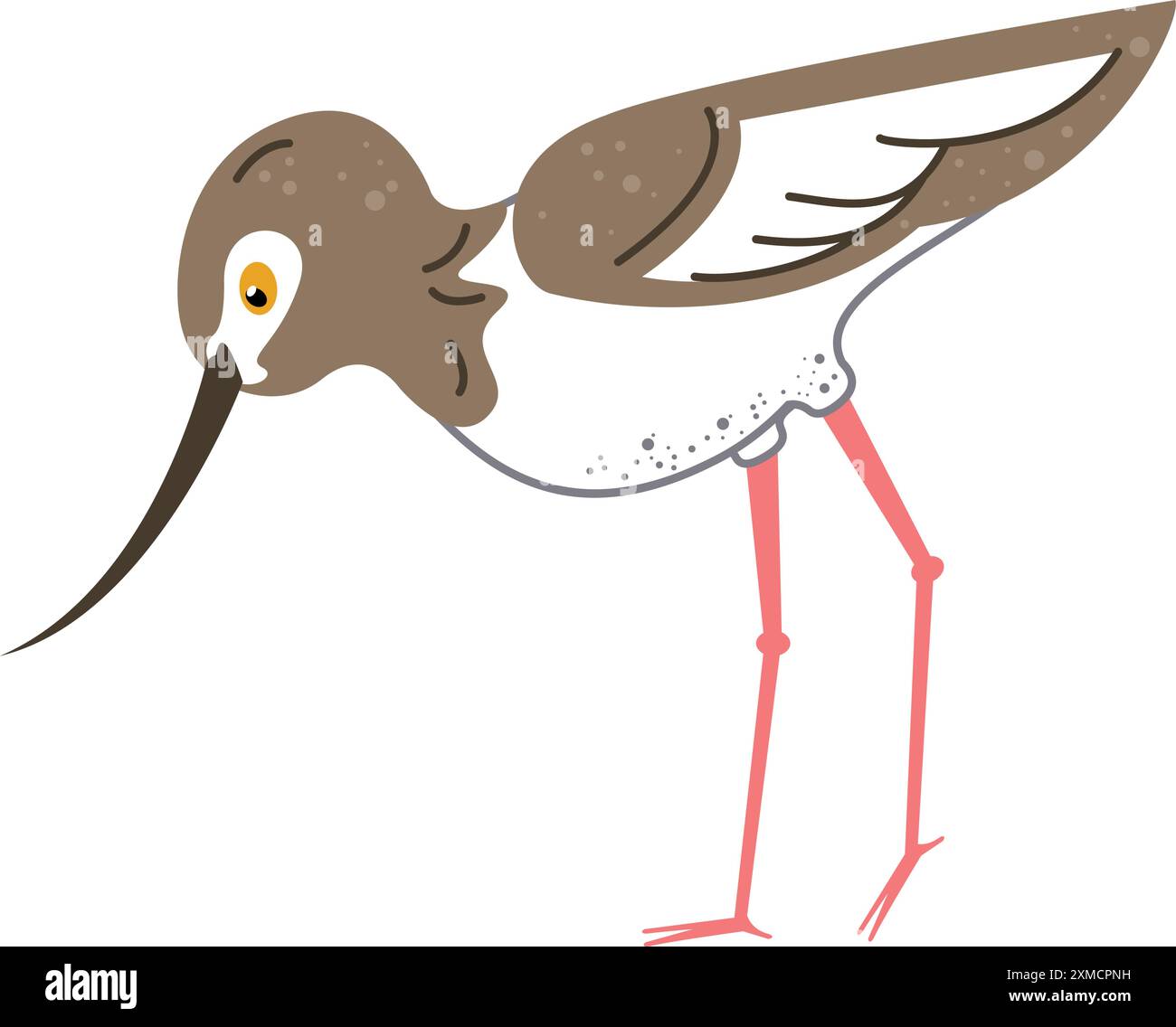 Snipe Stock Vector Images - Alamy