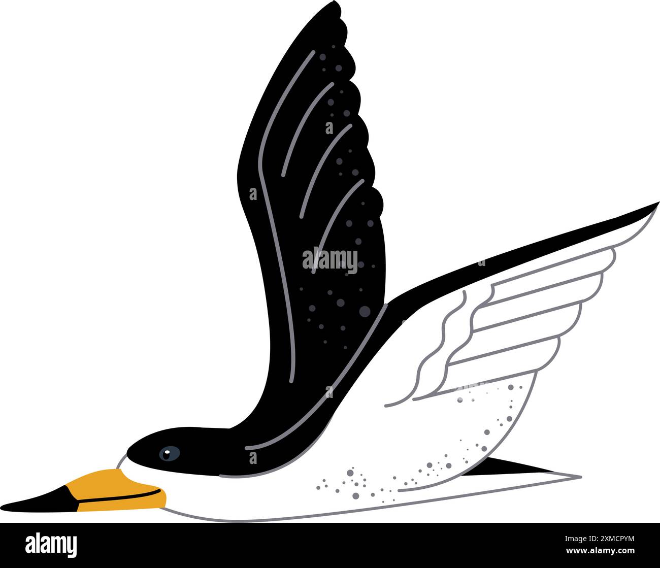 beach seagull bird Stock Vector Image & Art - Alamy