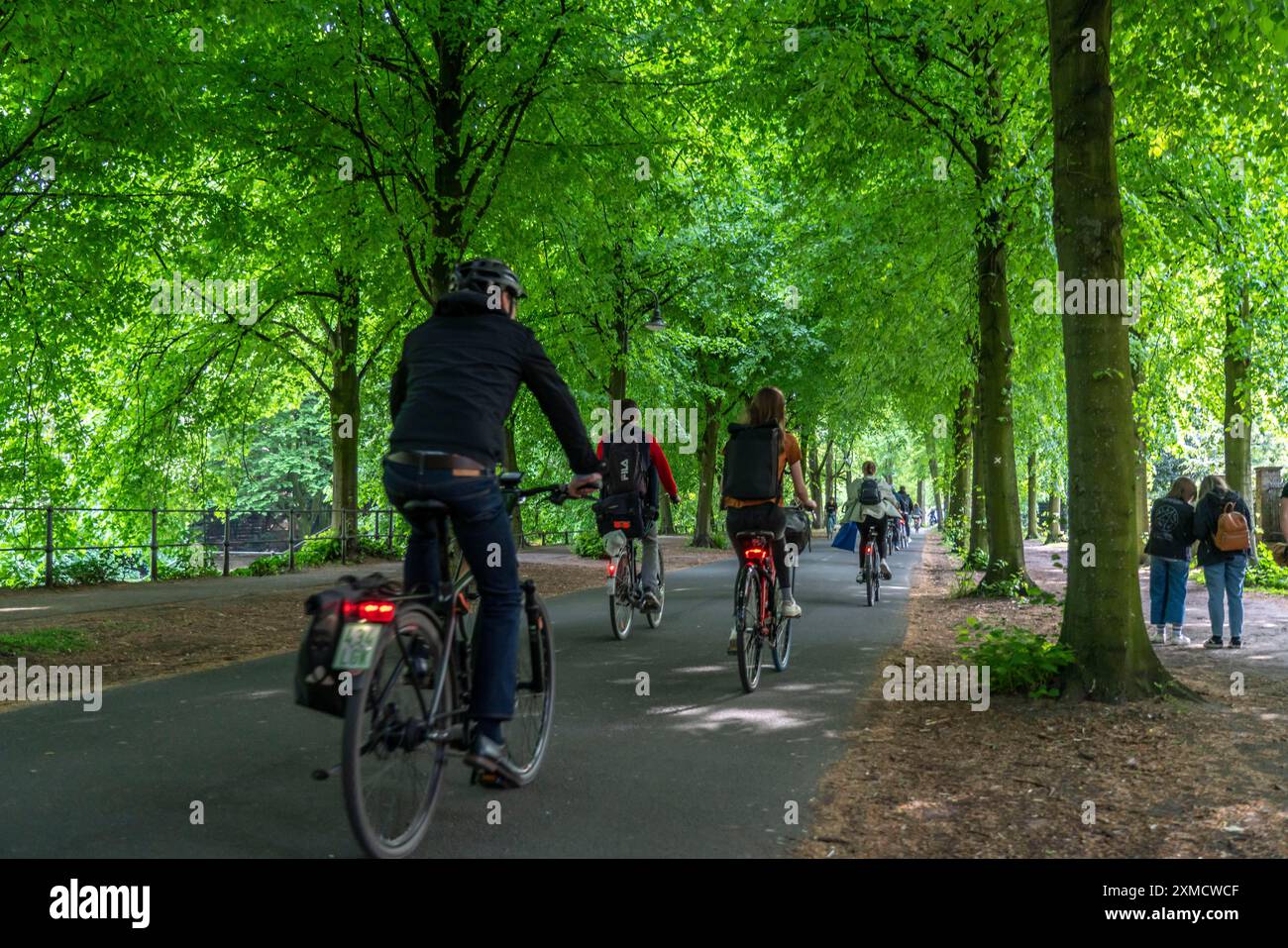 Promenade cycle path, tree-lined, car-free, approximately 4.5 km long ...