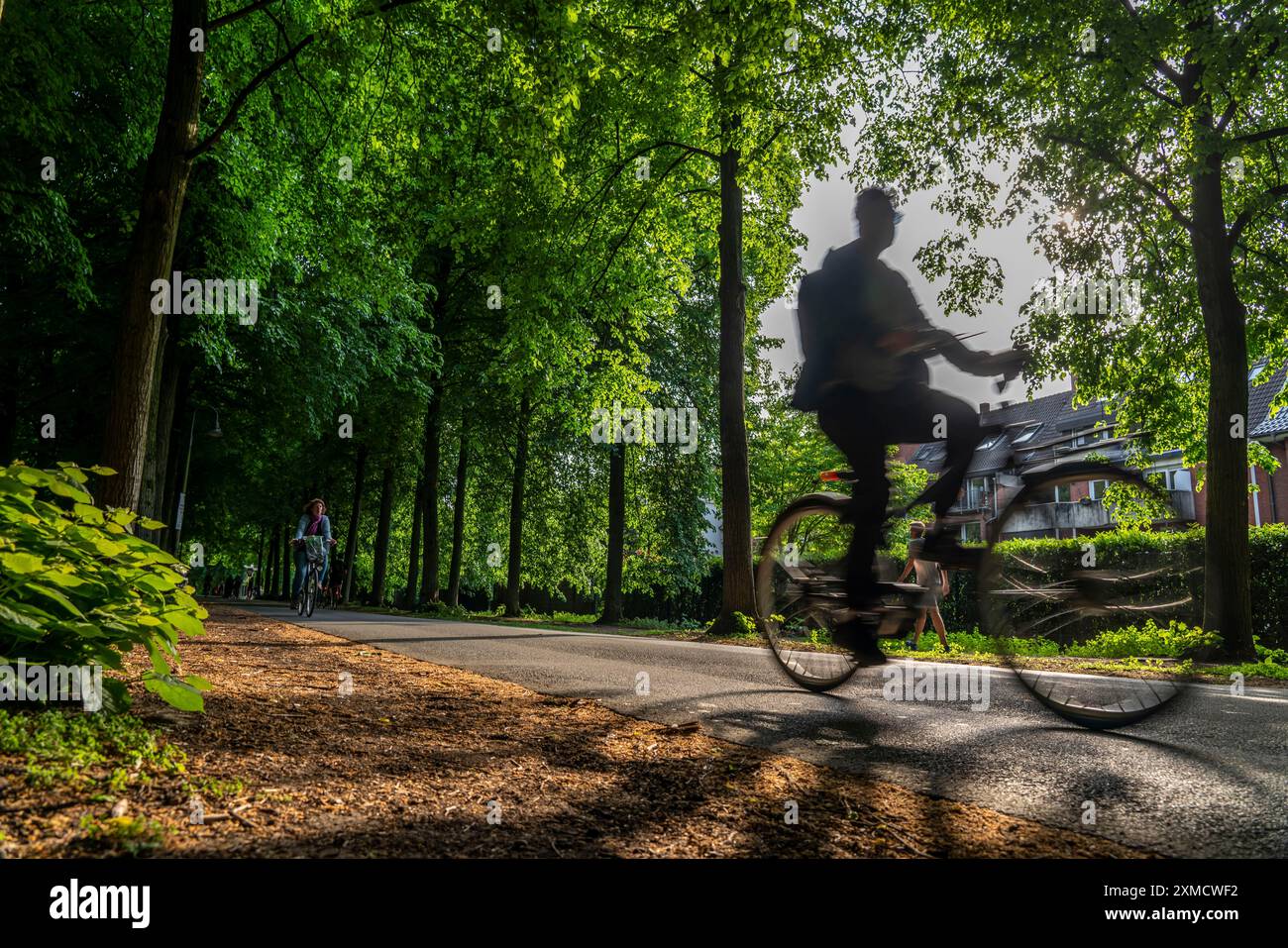 Promenade cycle path, tree-lined, car-free, approximately 4.5 km long ...