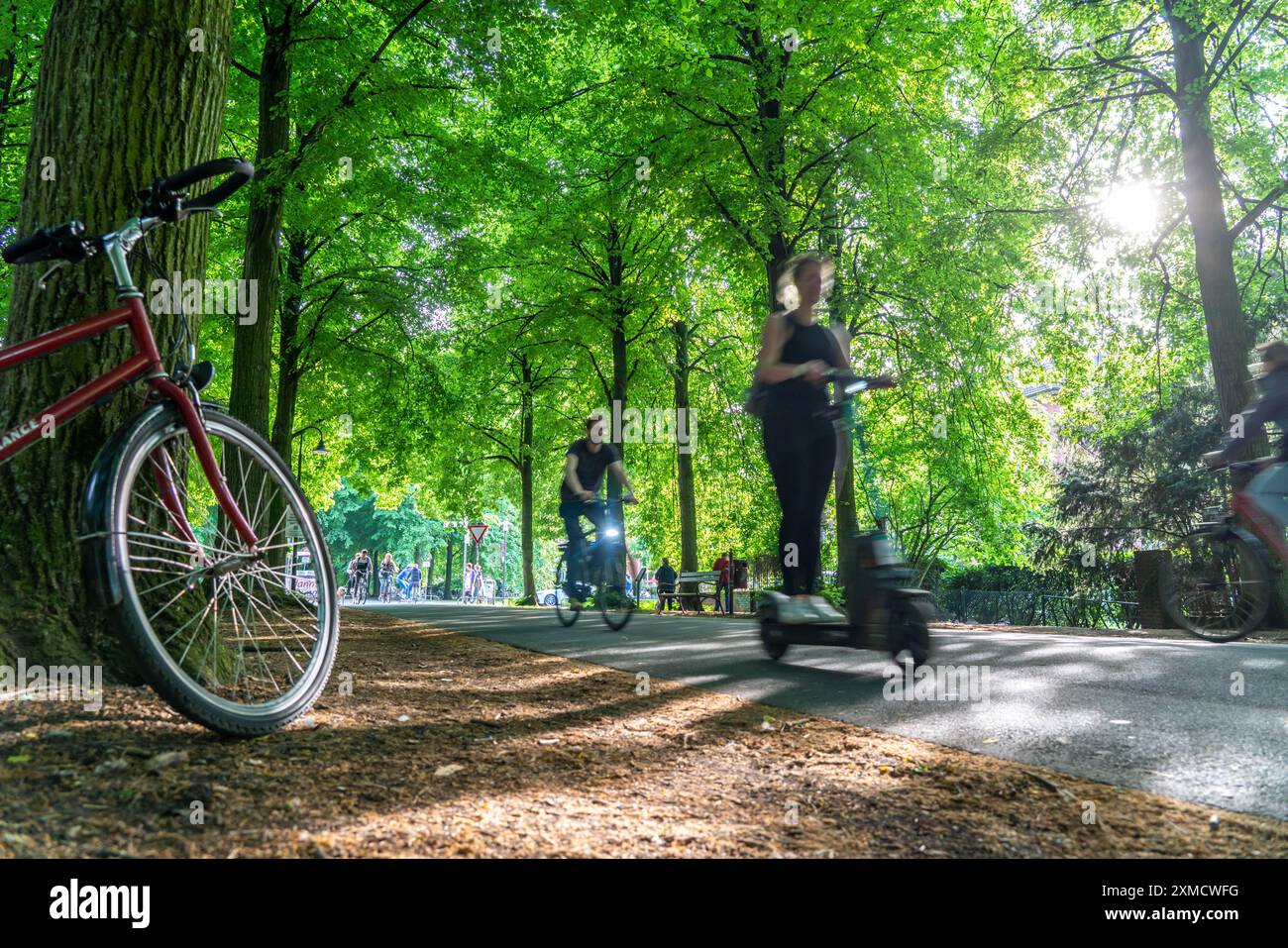 Promenade cycle path, tree-lined, car-free, approximately 4.5 km long ...