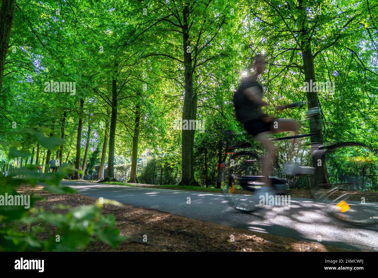 Promenade cycle path, tree-lined, car-free, approximately 4.5 km long ...