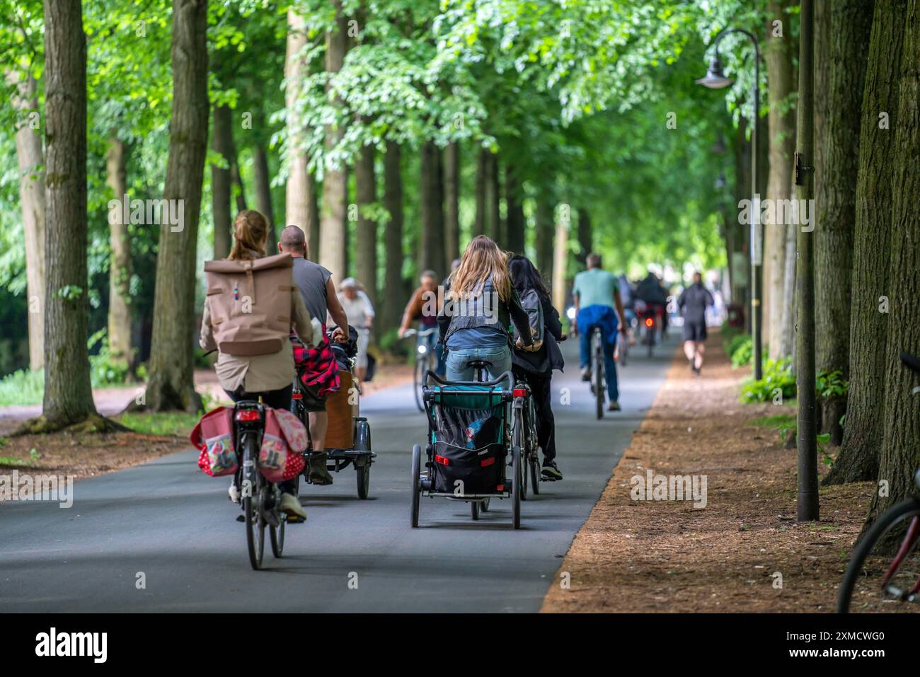 Promenade cycle path, tree-lined, car-free, approximately 4.5 km long ...
