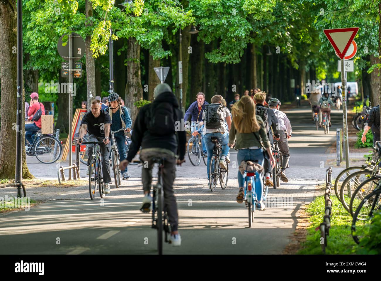 One of 4 road crossings of the Promenade cycle path, a tree-lined, car ...
