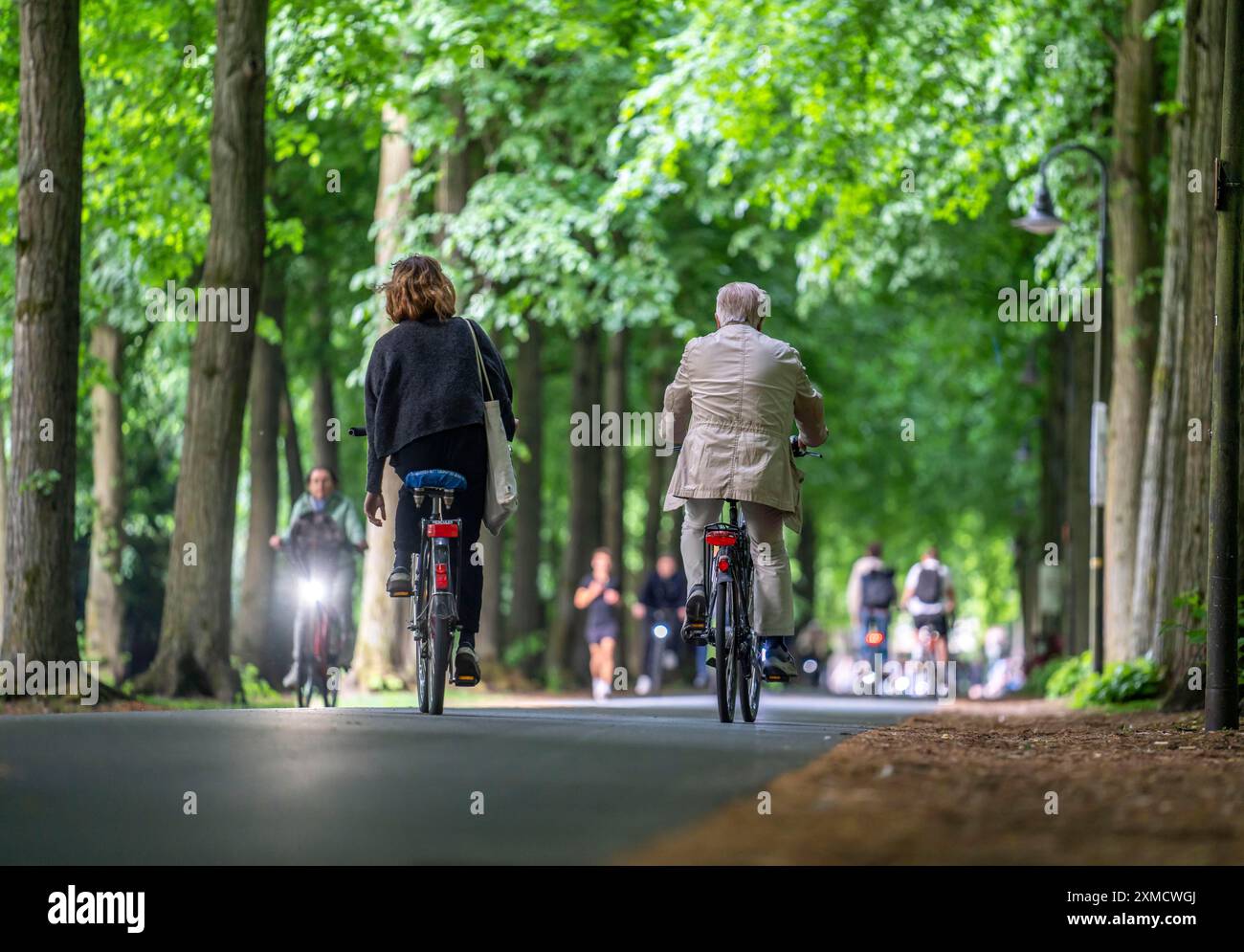 Promenade cycle path, tree-lined, car-free, approximately 4.5 km long ...