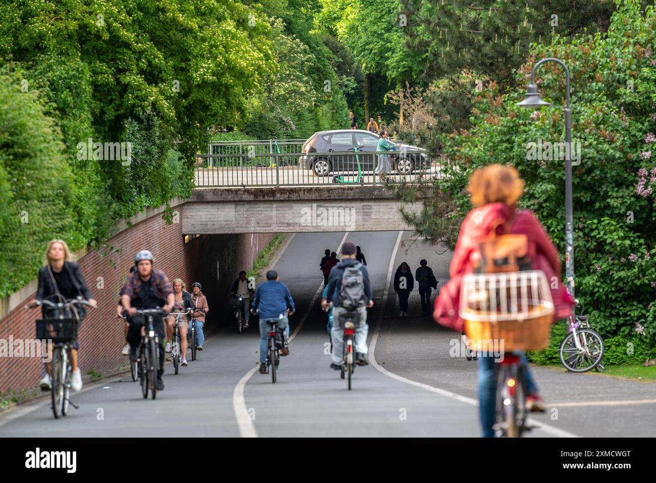 Subway on the Promenade cycle path, tree-lined, car-free, approximately ...