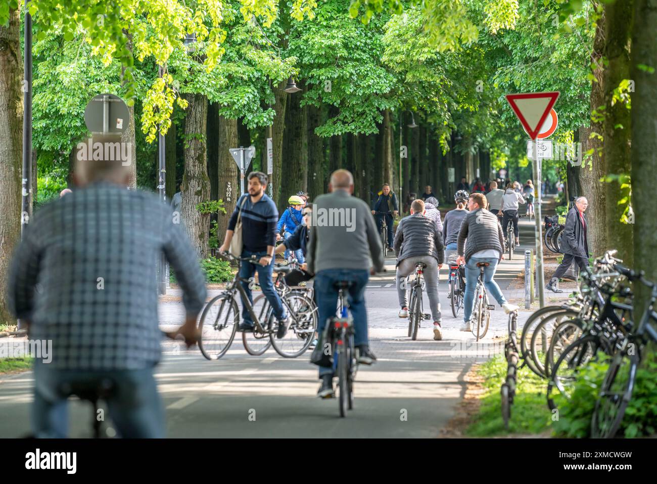 One of 4 road crossings of the Promenade cycle path, a tree-lined, car ...