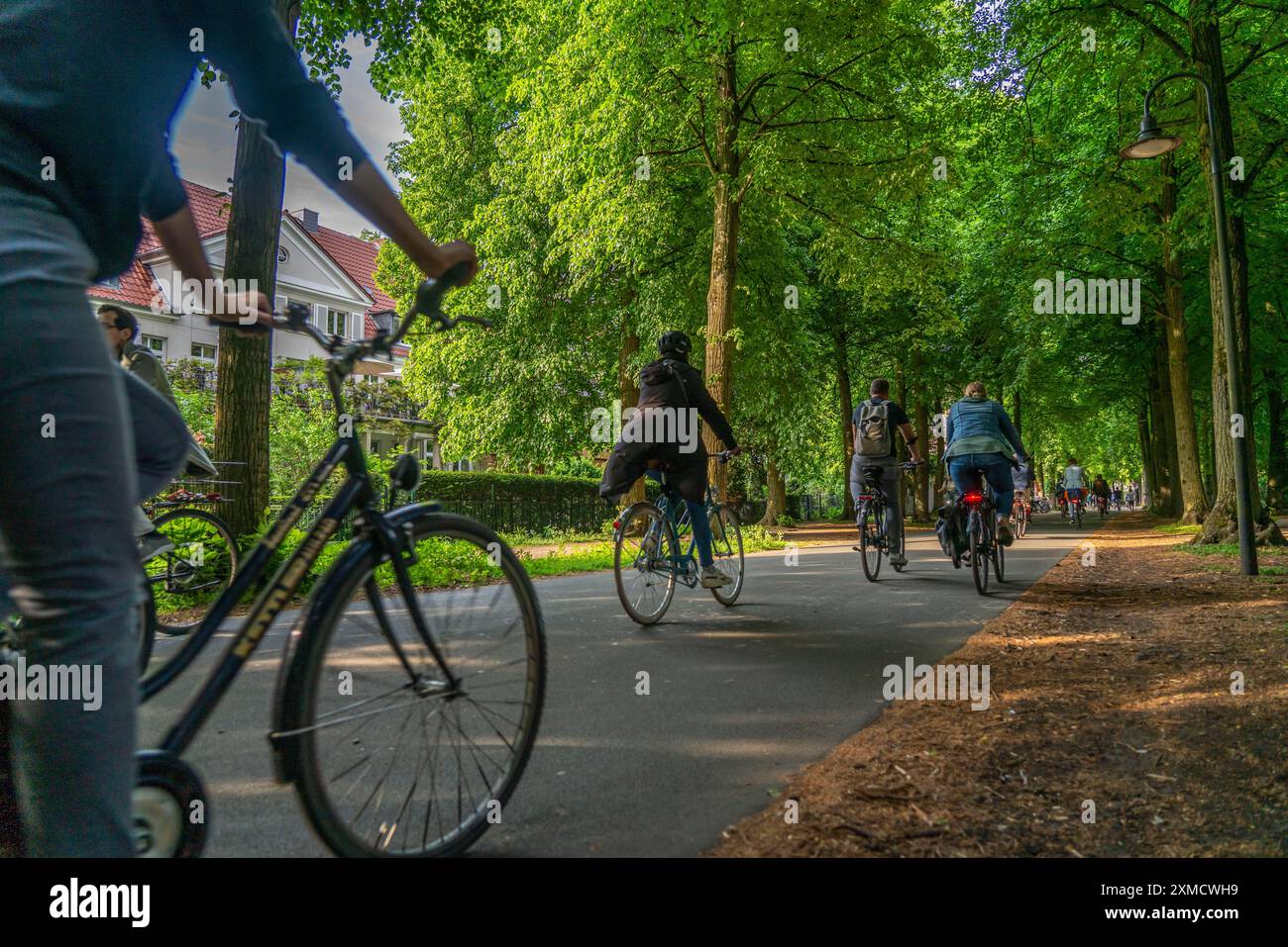 Promenade cycle path, tree-lined, car-free, approximately 4.5 km long ...
