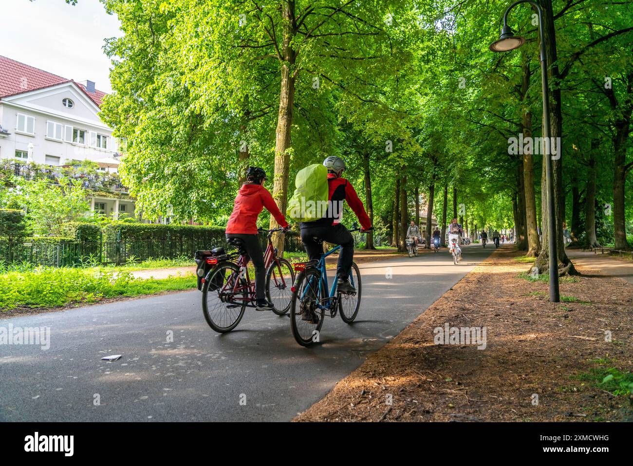 Promenade cycle path, tree-lined, car-free, approximately 4.5 km long ...